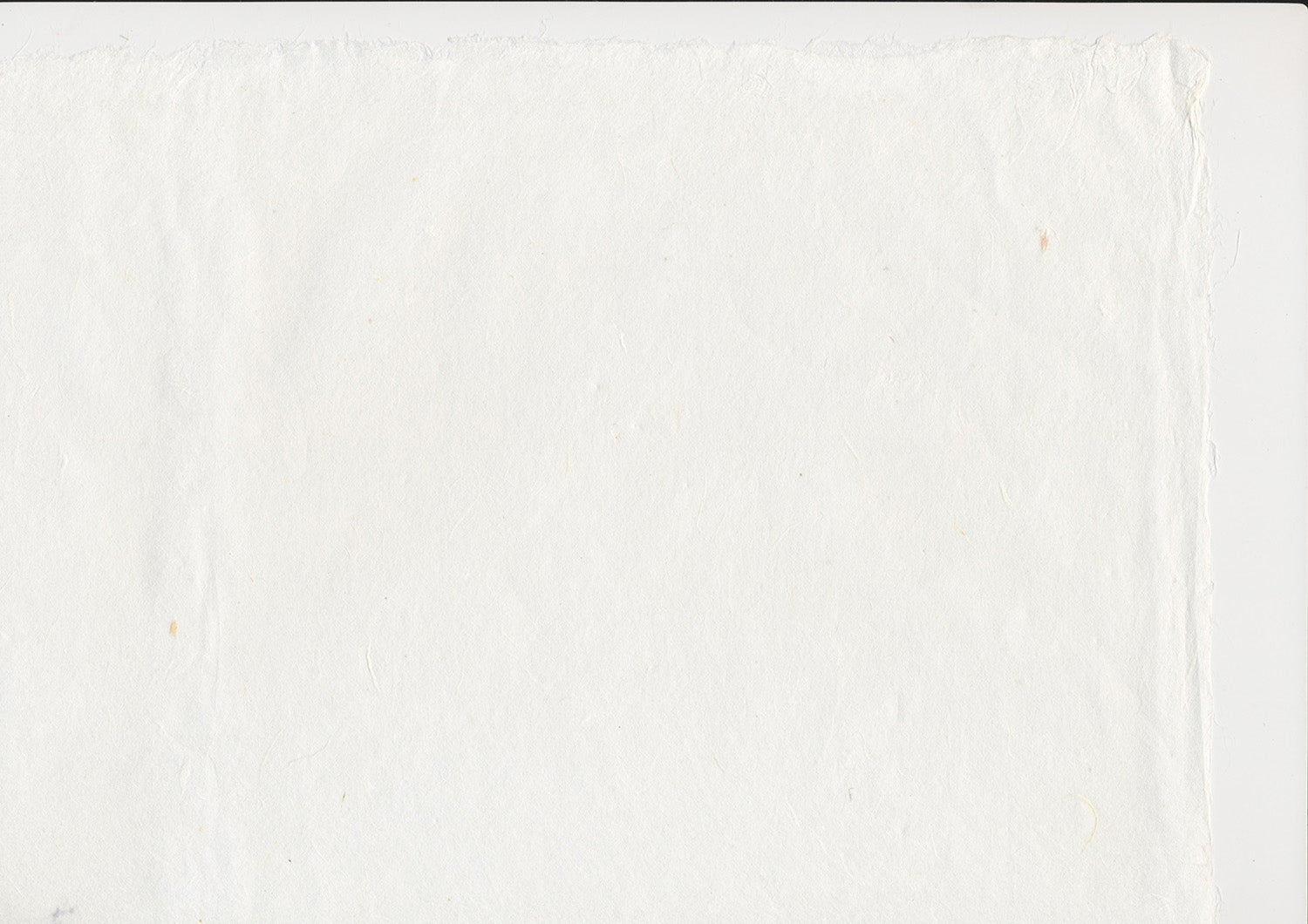 All Hanji Paper (Korea) – ollilypaperware
